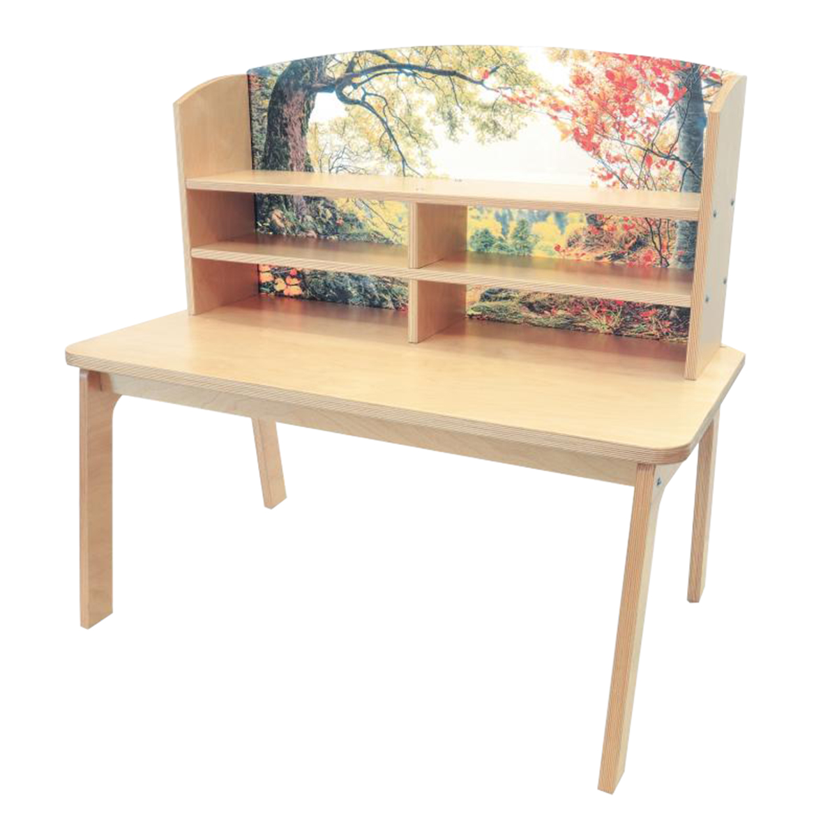 Nature View Writing Desk | Schools In