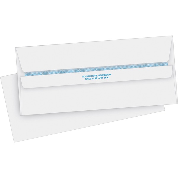 500 pk. - Business Source Regular Security Invoice Envelopes | Schools In