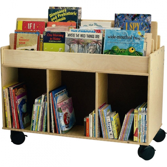 Double-Sided Library Cart | Schools In