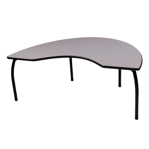 Forte Series Kidney Activity Tables | Schools In